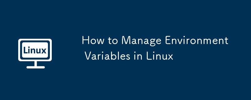 How to Manage Environment Variables in Linux-LINUX-php.cn
