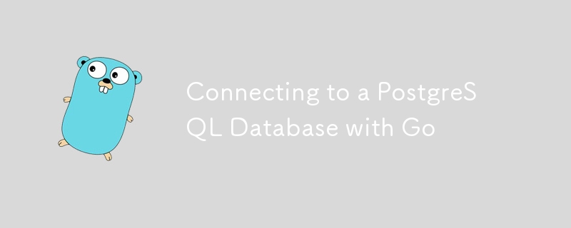 Connecting to a PostgreSQL Database with Go-Golang-php.cn