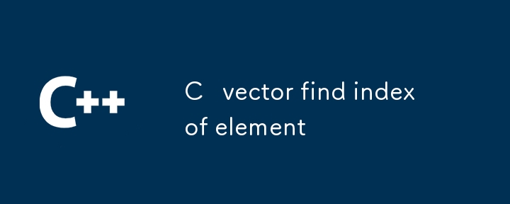 C vector find index of element-C++-php.cn