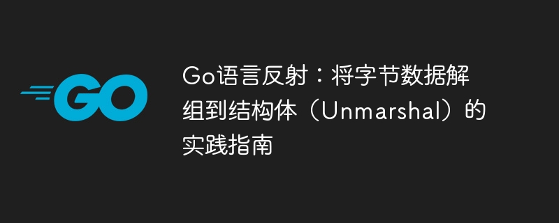 Go Reflection: A Practical Guide to Unmarshal-Golang-php.cn
