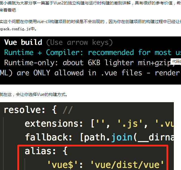 The difference between independent build and runtime build using Vue2 (detailed tutorial)-JS ...