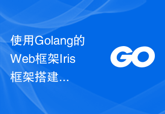 Use Golang's web framework Iris framework to build high-concurrency web applications-Golang-php.cn