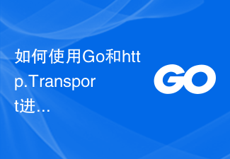 How to use Go and http.Transport for efficient network transfer?-Golang-php.cn
