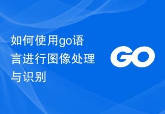 How to use go language for image processing and recognition-Golang-php.cn