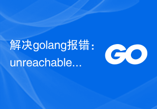 Solve golang error: unreachable code, solution-Golang-php.cn