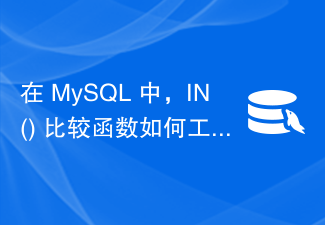 How does the IN() comparison function work in MySQL?-Mysql Tutorial-php.cn