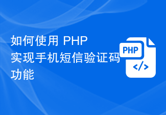How to use PHP to implement SMS verification code function-PHP Tutorial-php.cn