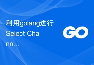 利用golang進行Select Channels Go並發式程式設計的實作指南-Golang-PHP中文網