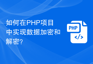 How to implement data encryption and decryption in PHP project?-PHP Tutorial-php.cn