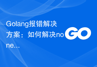 Golang error solution: How to solve no new variables error-Golang-php.cn