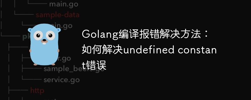 Golang Compilation Error Solution How To Solve Undefined Constant Error Golang Phpcn
