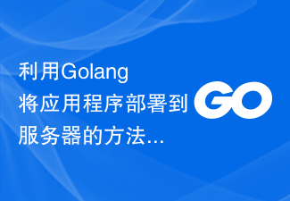 A guide to deploying applications to servers using Golang-Golang-php.cn