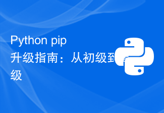 Python pip upgrade guide: from beginner to advanced-Python Tutorial-php.cn