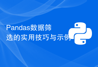 Practical tips and examples of Pandas data filtering-Python Tutorial-php.cn
