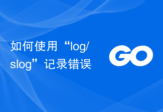 How to log errors using 'log/slog'-Golang-php.cn