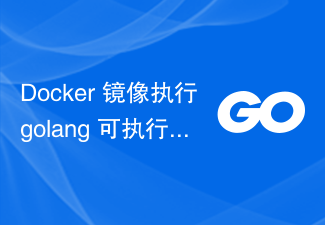 Docker image execution golang executable file: exec /usr/local/go/bin/go: exec format error ...