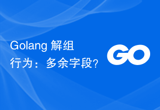 Golang unmarshaling behavior: extra fields?-Golang-php.cn