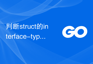 判斷struct的interface-type欄位是否設定-Golang-PHP中文網