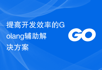 Golang auxiliary solution to improve development efficiency-Golang-php.cn