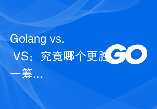 Golang vs. VS：究竟哪個更勝一籌？-Golang-PHP中文網
