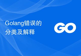 Classification and explanation of Golang errors-Golang-php.cn