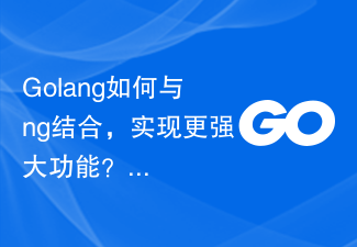 How to combine Golang with ng to achieve more powerful functions?-Golang-php.cn