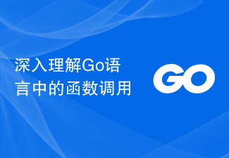 In-depth understanding of function calls in Go language-Golang-php.cn