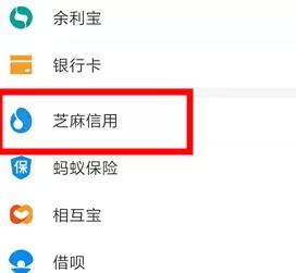 Specific methods for Alipay to join the Sesame Convention-Mobile Application-php.cn