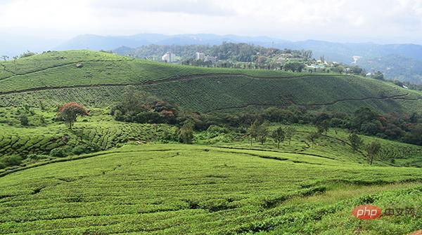 Three ways to parse parameters in Python-Python Tutorial-php.cn