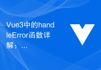 Detailed explanation of the handleError function in Vue3: How to handle errors-Vue.js-php.cn