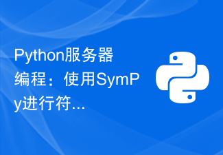 Python Server Programming: Symbolic Computation with SymPy-Python Tutorial-php.cn