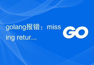 golang error: missing return at end of function, solution-Golang-php.cn