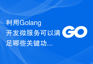 What key functional requirements can be met by using Golang to develop microservices?-Golang-php.cn