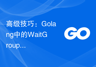 Advanced Tips: WaitGroup and Coroutine Scheduling in Golang-Golang-php.cn