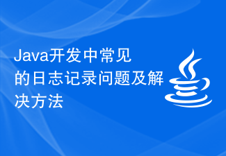 Common logging problems and solutions in Java development-javaTutorial-php.cn