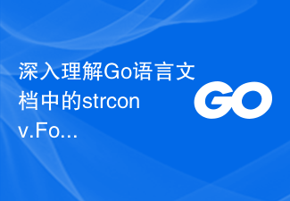 In-depth understanding of the strconv.FormatInt function in the Go language documentation to ...