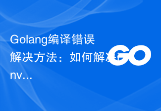 Golang compilation error solution: How to solve invalid type error-Golang-php.cn