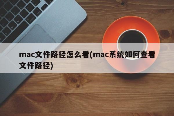 How to find file path in Mac system-MAC-php.cn