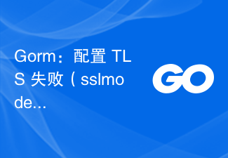 Gorm: Configuring TLS failed (sslmode invalid)-Golang-php.cn