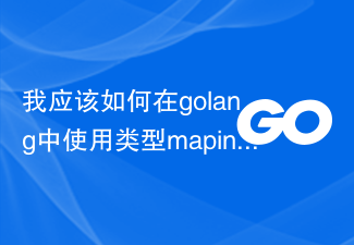 How should I use type mapinterface {} in golang-Golang-php.cn