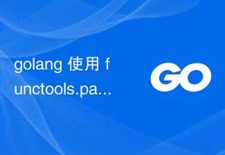 golang uses functools.partial or similar methods to complete wrapping other functions-Golang-php.cn