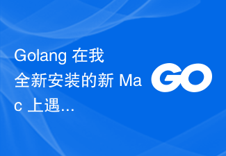 Golang 在我全新安裝的新 Mac 上遇到權限問題-Golang-PHP中文網