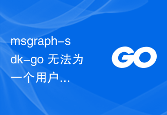 msgraph-sdk-go 無法為一個使用者建立兩個以上的擴展-Golang-PHP中文網