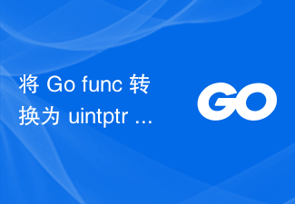 What is the correct way to convert Go func to uintptr?-Golang-php.cn