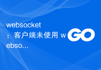 websocket: Client not using websocket protocol: 'Upgrade' token not found in 'Connection' header ...