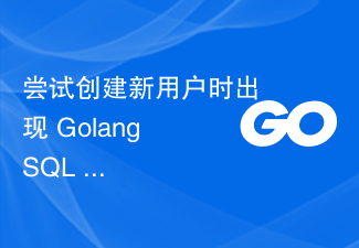 嘗試建立新使用者時出現 Golang SQL 錯誤-Golang-PHP中文網