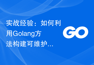 Practical experience: How to build a maintainable code base using Golang methods-Golang-php.cn