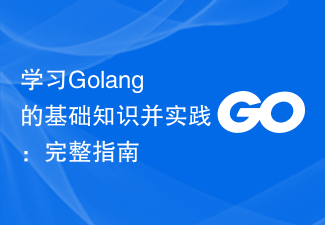 Learn the basics of Golang and practice: The complete guide-Golang-php.cn
