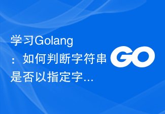Learning Golang: How to determine whether a string starts with a specified character?-Golang-php.cn