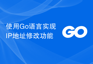 Use Go language to implement IP address modification function-Golang-php.cn